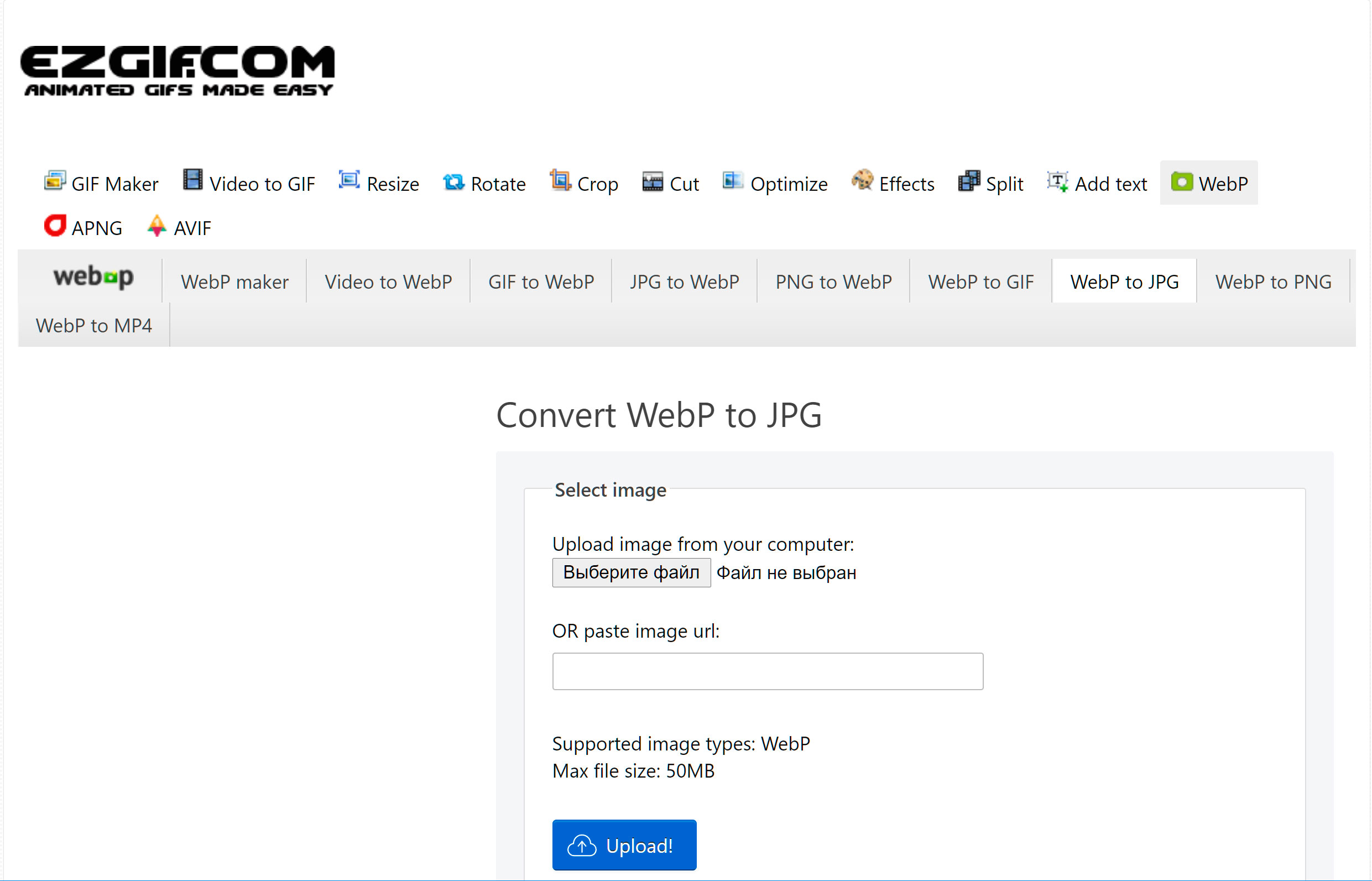 Software convertitore da WebP a JPG | Download gratuito