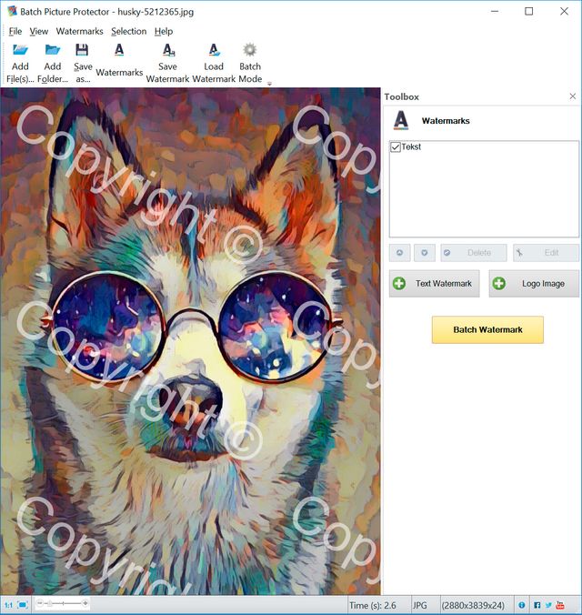 Aggiungi Watermark alle Foto con Batch Picture Protector. Software per ...