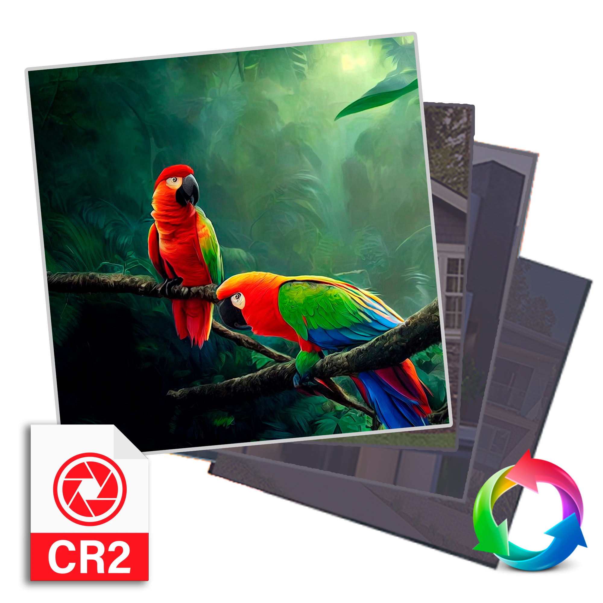CR2 to JPG Converter Software [Download Gratuito] - Windows 10, 11
